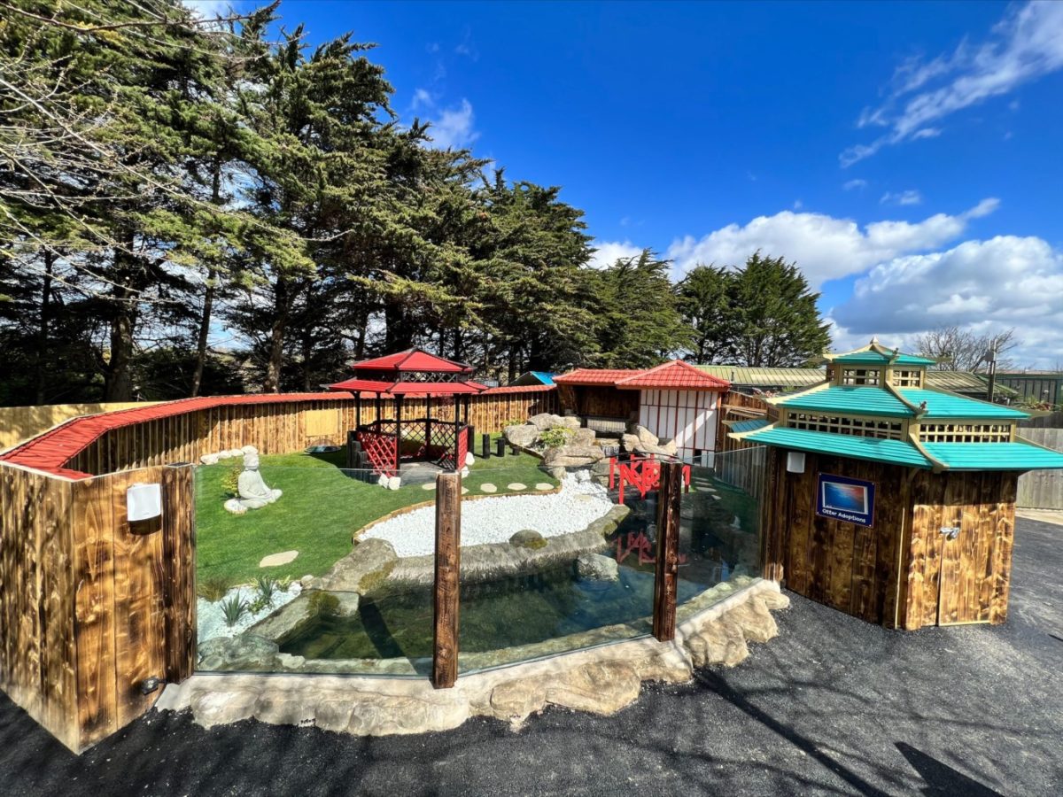 SEA LIFE Weymouth Unveils New Otter Enclosure
