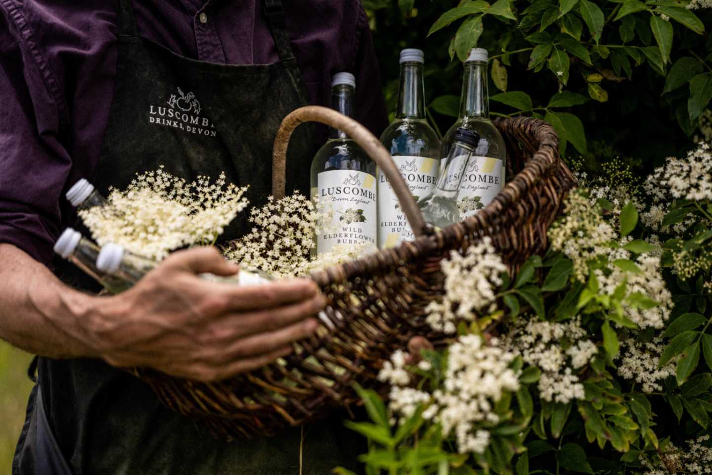 The Story of Luscombe